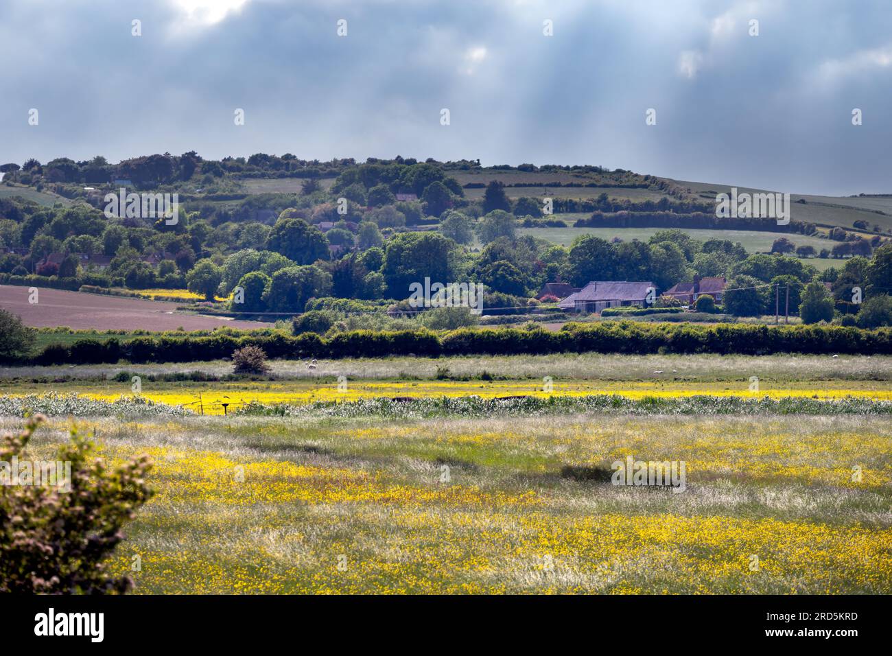 Sussex countryside farmland sunny hi-res stock photography and images ...