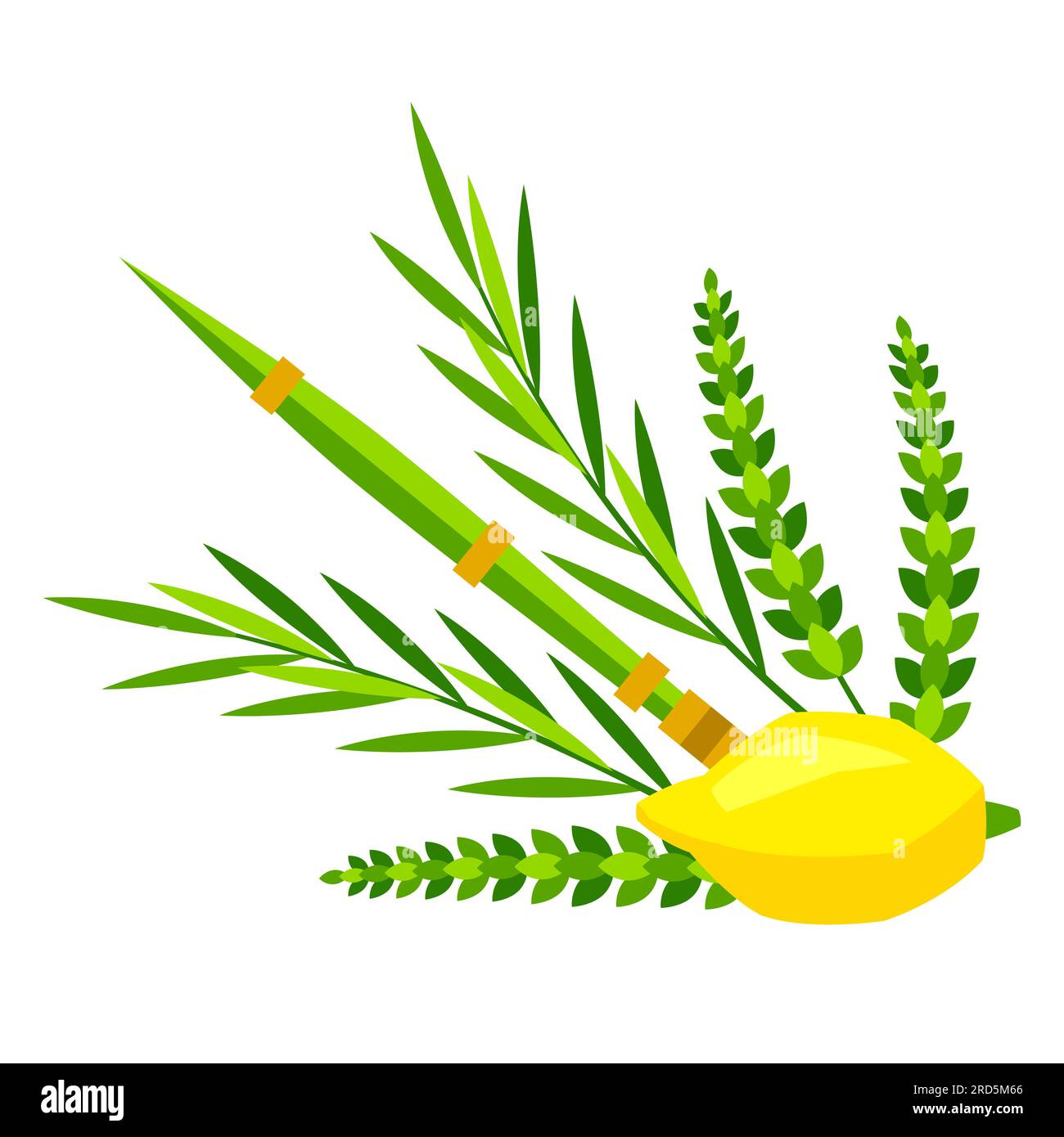 Happy Sukkot symbols. Four species etrog, lulav, willow and myrtle ...