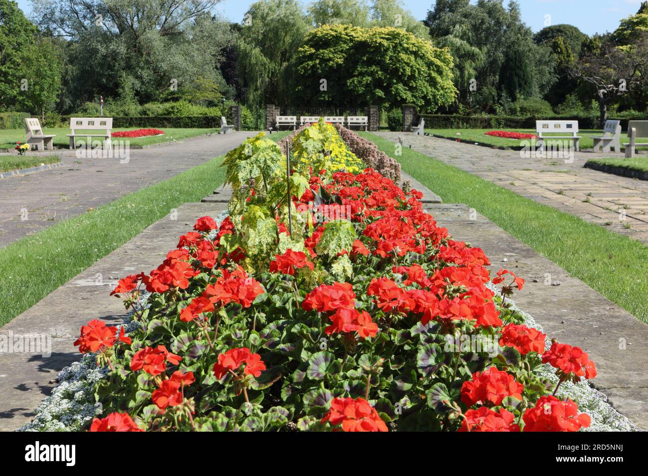 Bedding plants in flower display in public garden, summer flower ...
