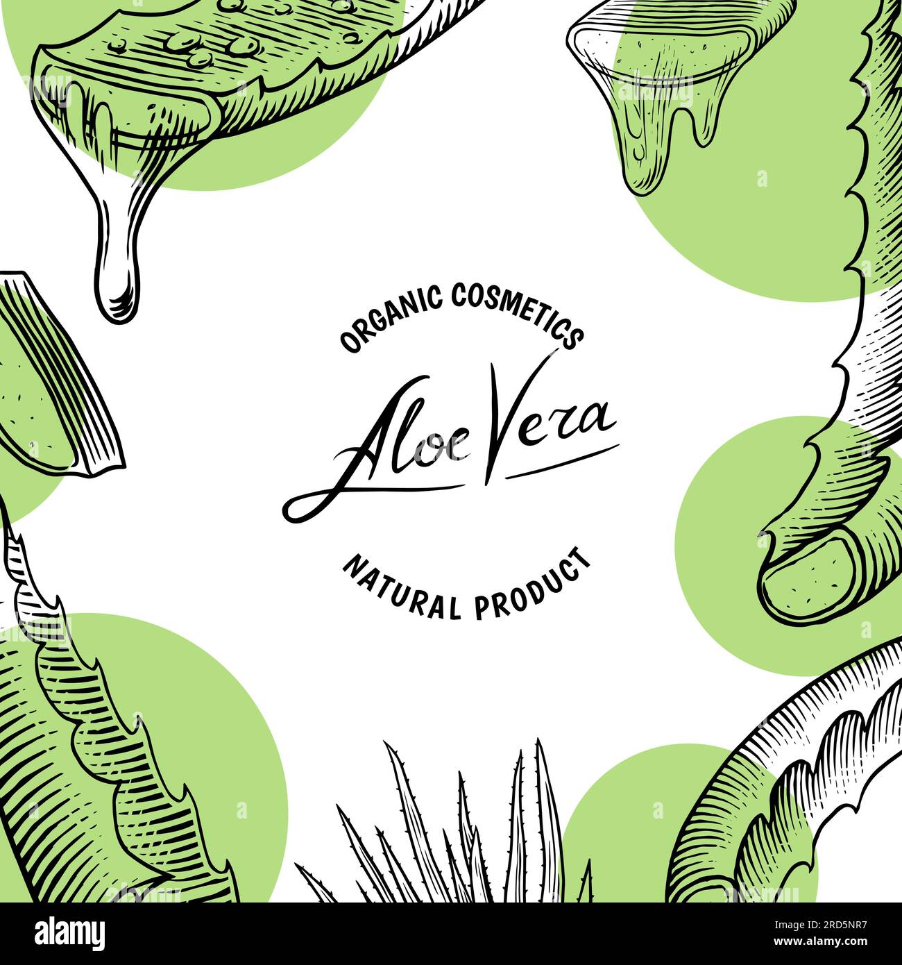 Aloe vera poster or banner. Sketch of Plant and bunch. Ingredient for ...