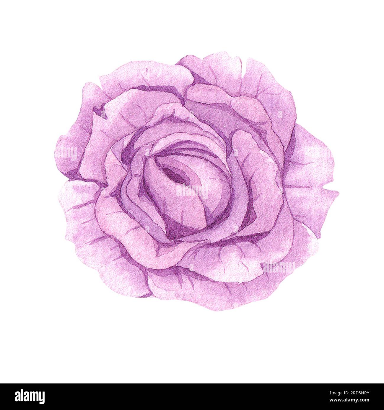 Ros logo hi-res stock photography and images - Alamy