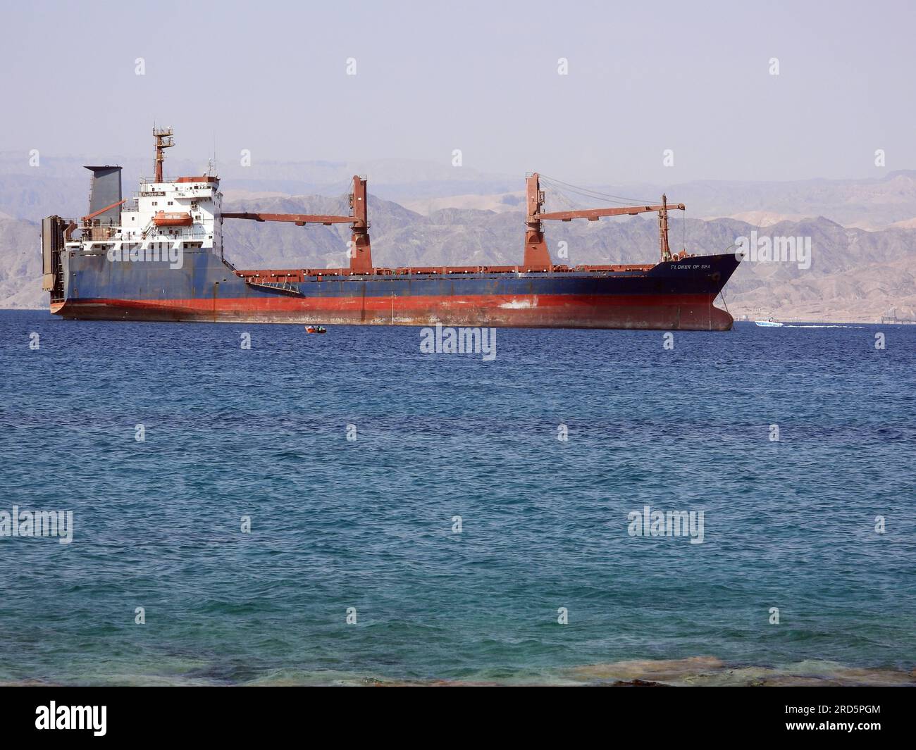 shipping (export and import goods) by a cargo ship in the Red Sea (Gulf ...