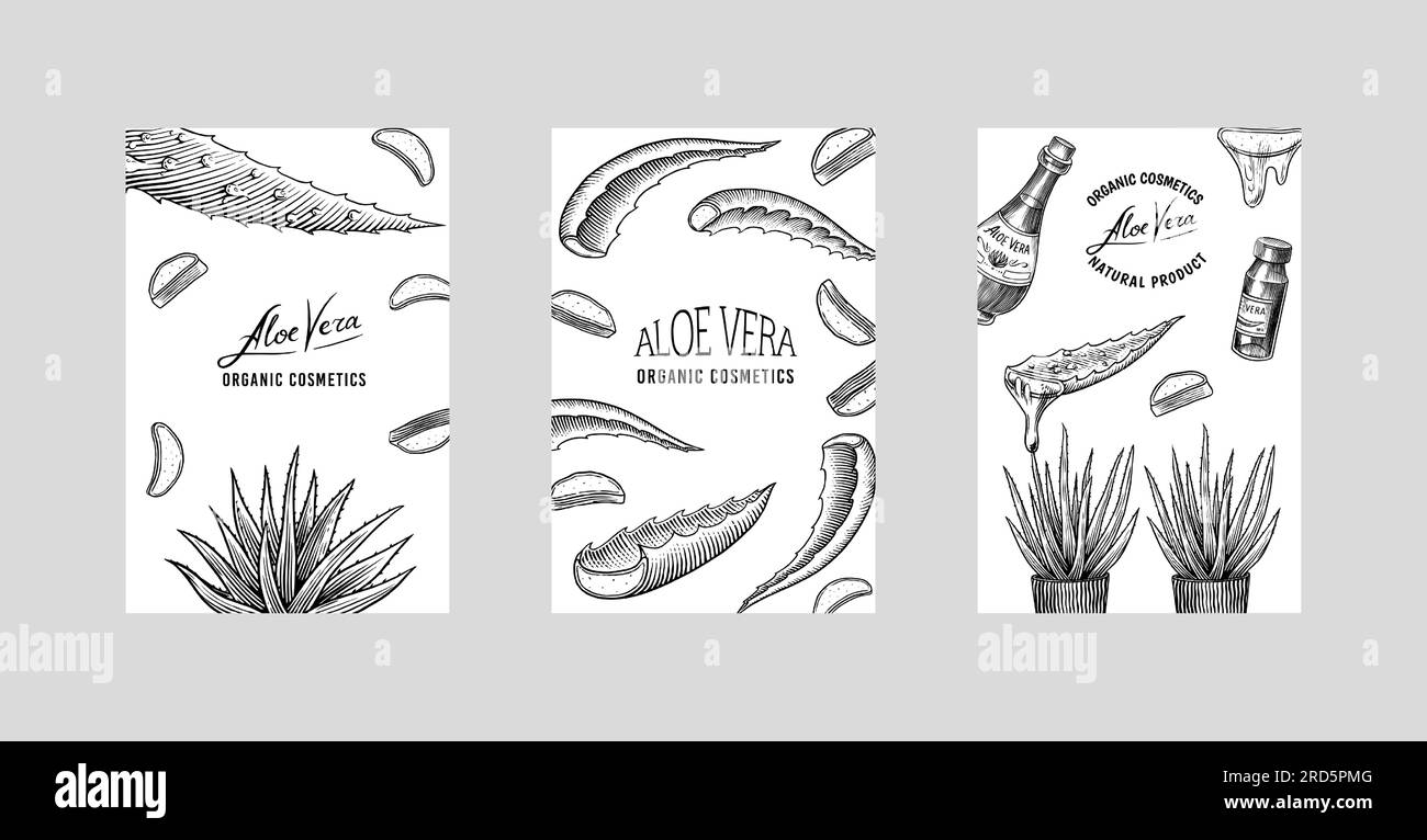 Aloe vera poster or banner. Sketch of Plant and bunch. Ingredient for ...