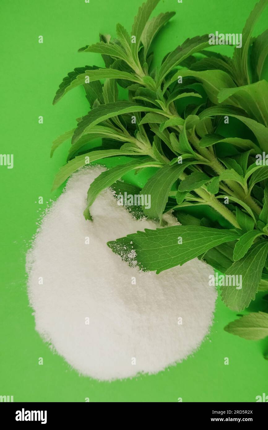 Green stevia and granulated sugar circle on green background.Stevia ...