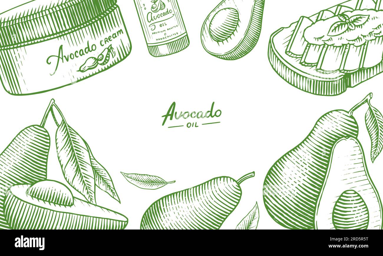 Tropical avocado. Set of evergreen fruit plant. Cosmetics for skin care ...