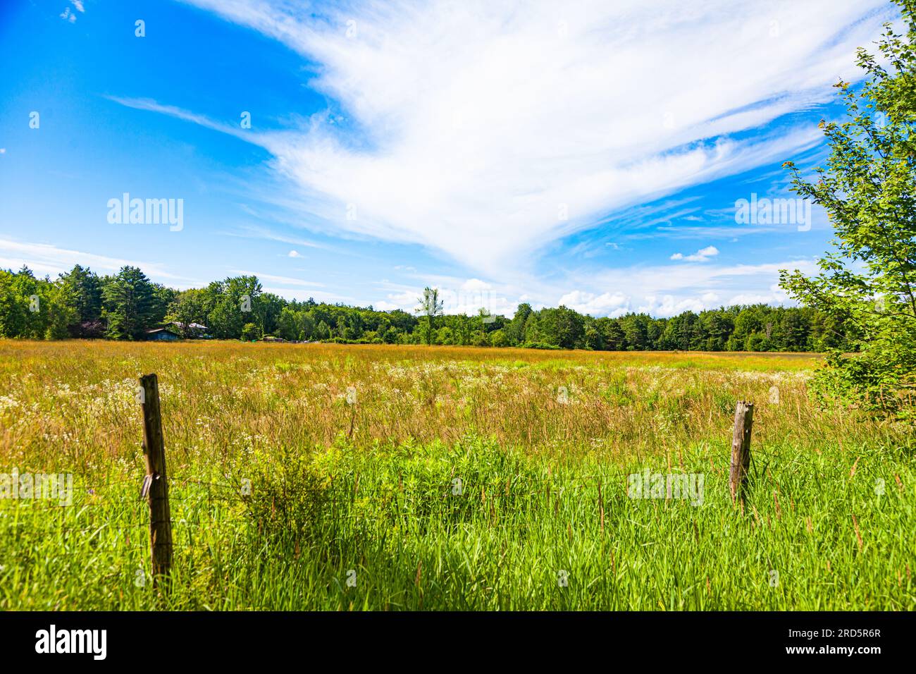 Muskoka countryside around Sparrow Lake in Ontario Canada Stock Photo ...