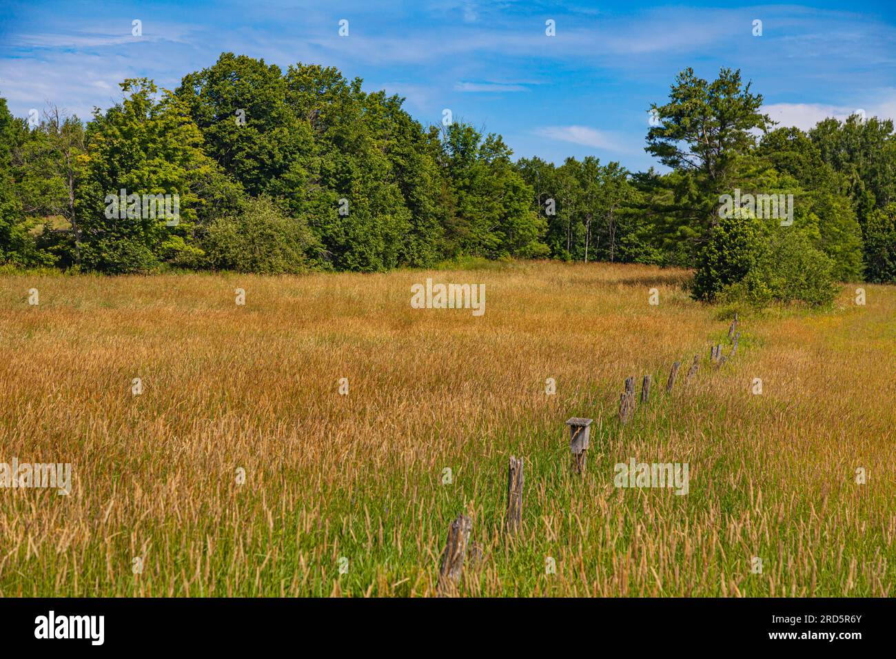 Muskoka countryside around Sparrow Lake in Ontario Canada Stock Photo ...