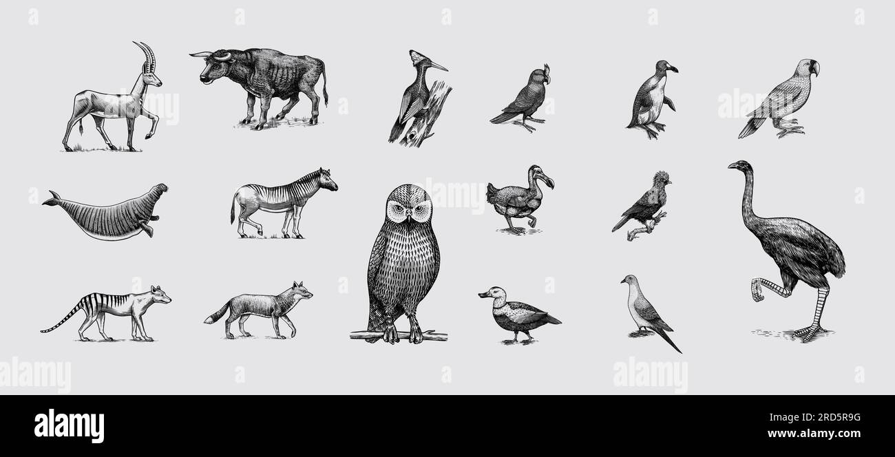 Extinct species. Wild mammal animals and birds. Dodo, Moa, Tasmanian ...
