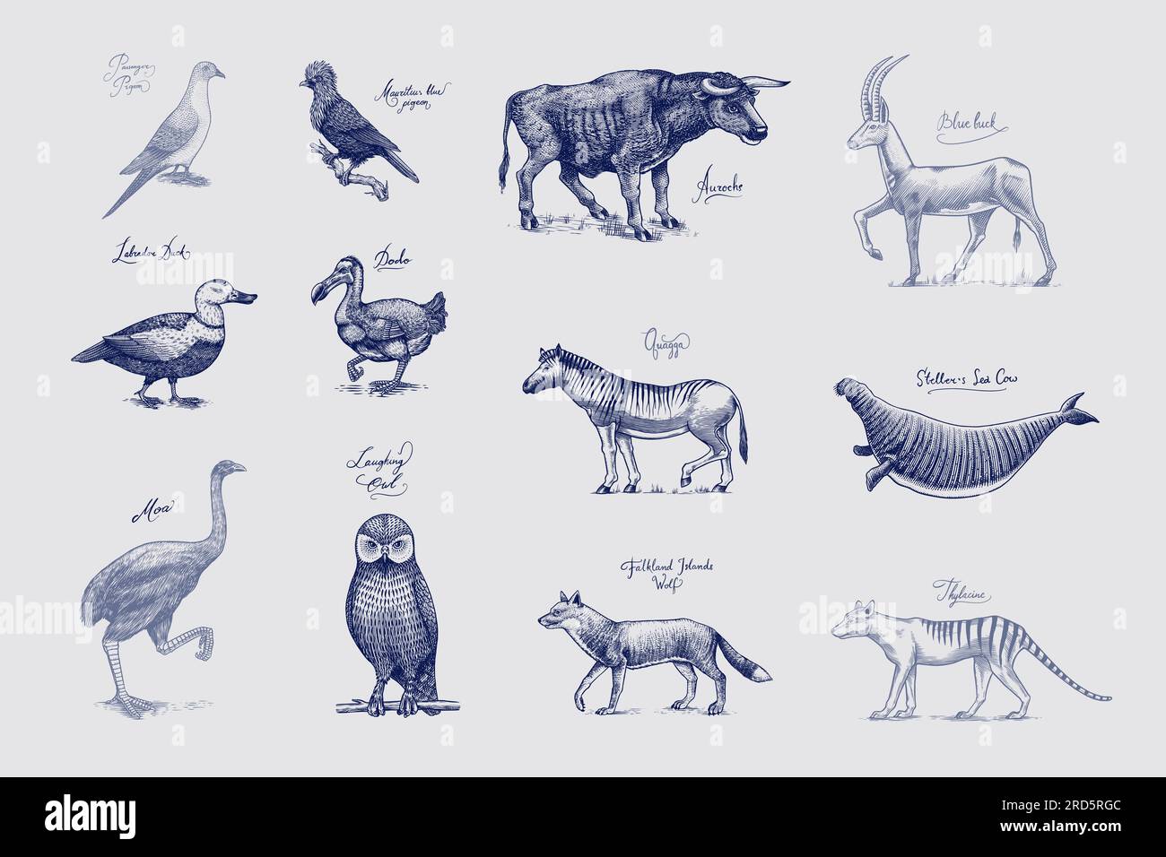 Extinct species. Wild mammal animals and birds. Dodo, Moa, Tasmanian ...