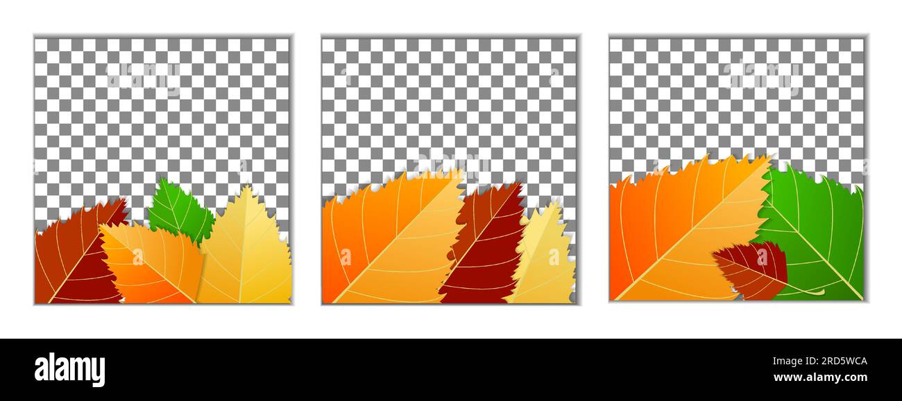 Autumn background with autumn bright leaves and square frame on white ...