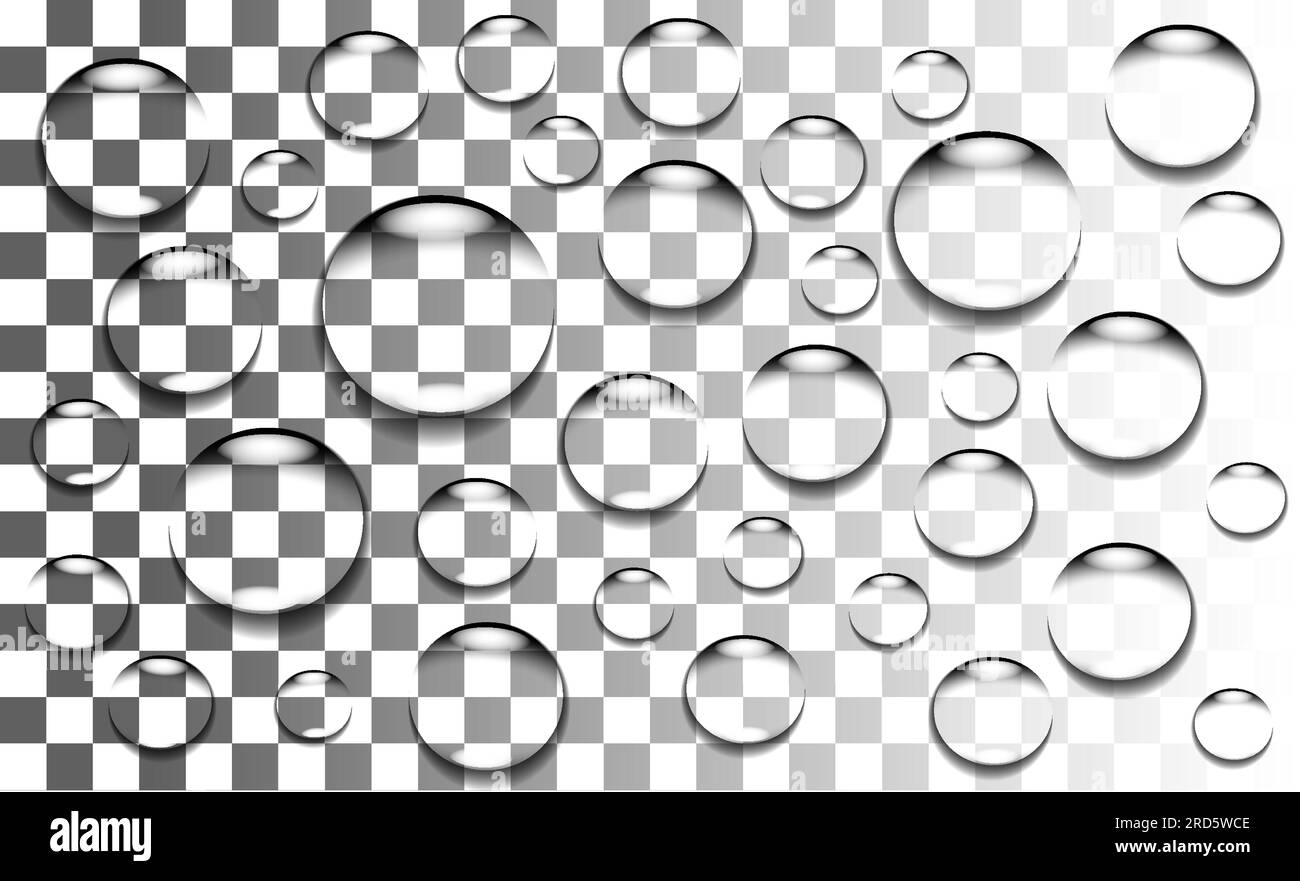 Realistic water drops on transparent background Stock Vector Image ...