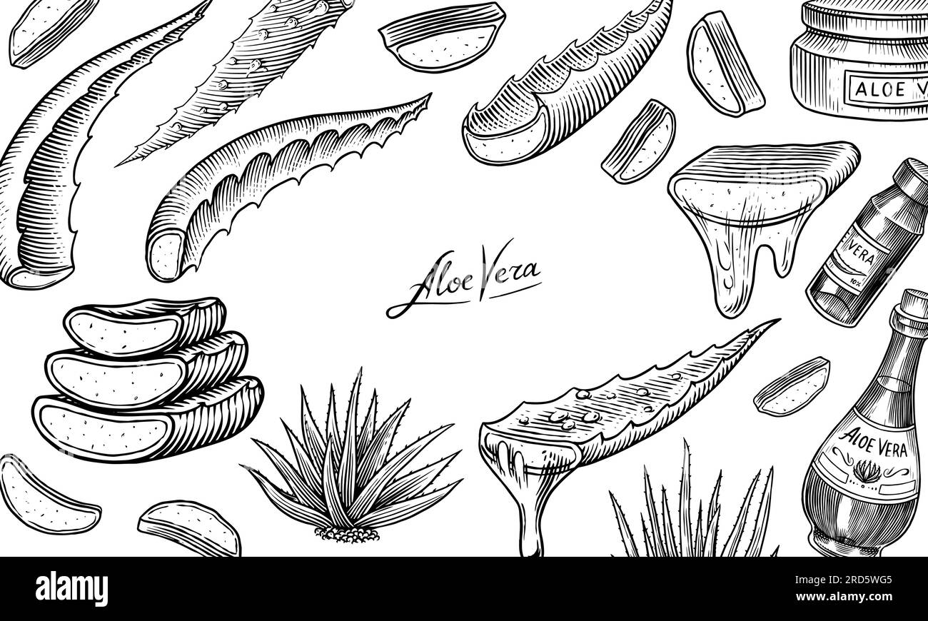 Aloe vera cosmetics products Black and White Stock Photos & Images - Alamy