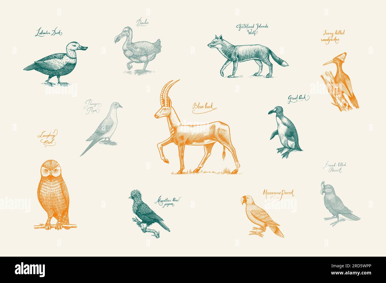 Extinct species. Wild mammal animals and birds. Dodo, Moa, Tasmanian ...