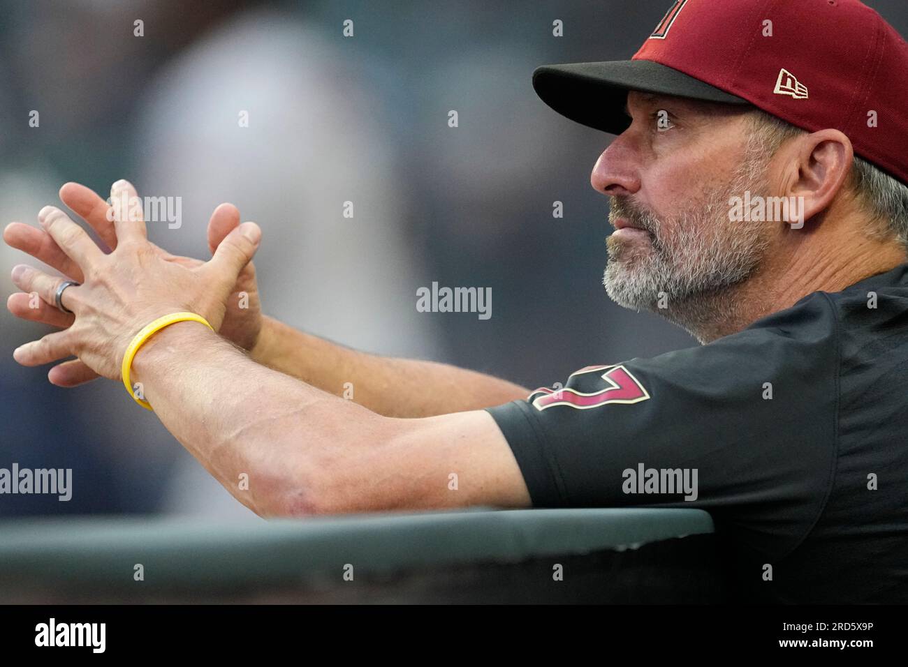 Arizona Diamondbacks manager Torey Lovullo (17) watches from the dugout ...