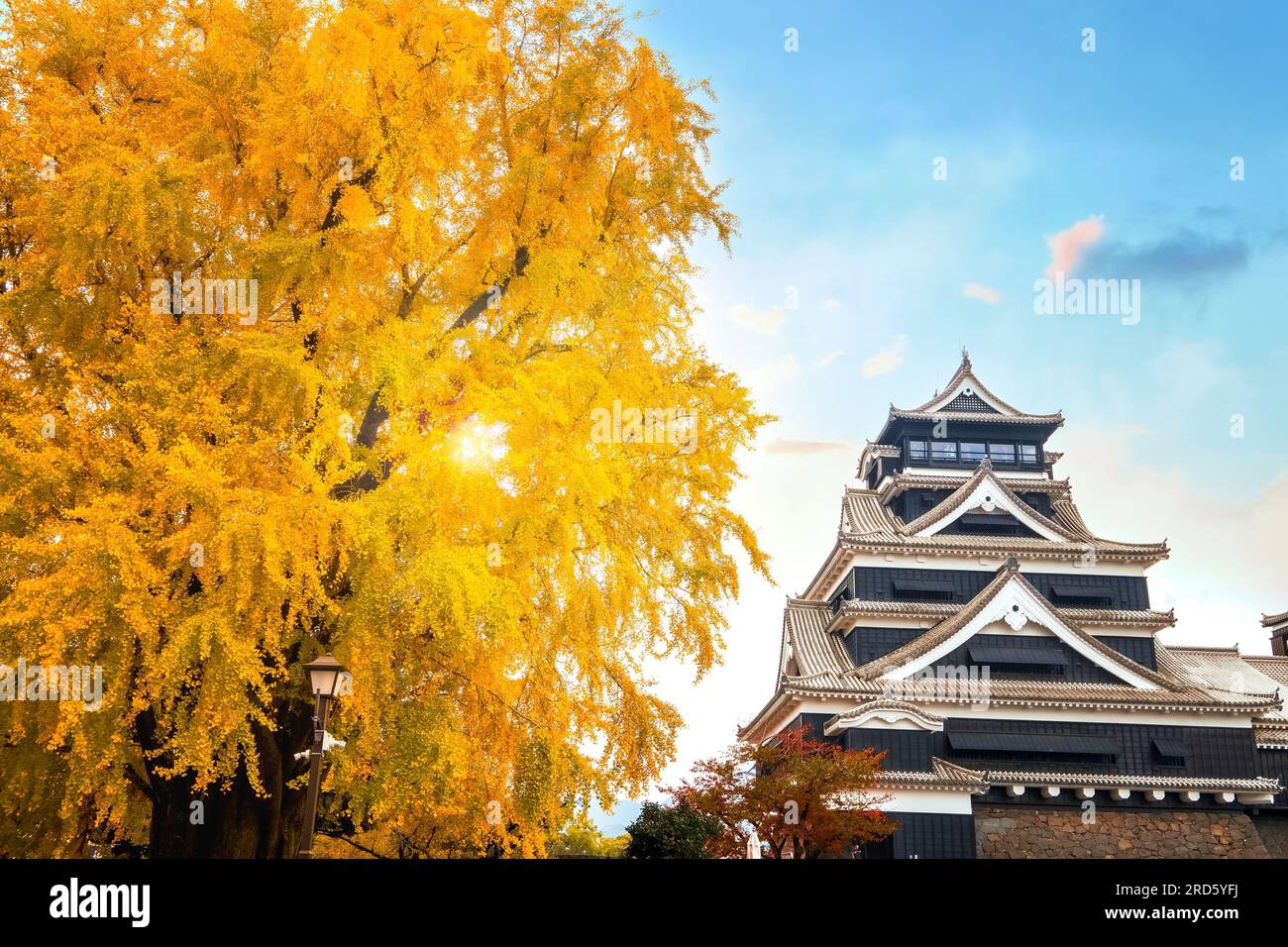 Kumamoto, Japan - Nov 23 2022: Kumamoto Castle's history dates to 1467 ...