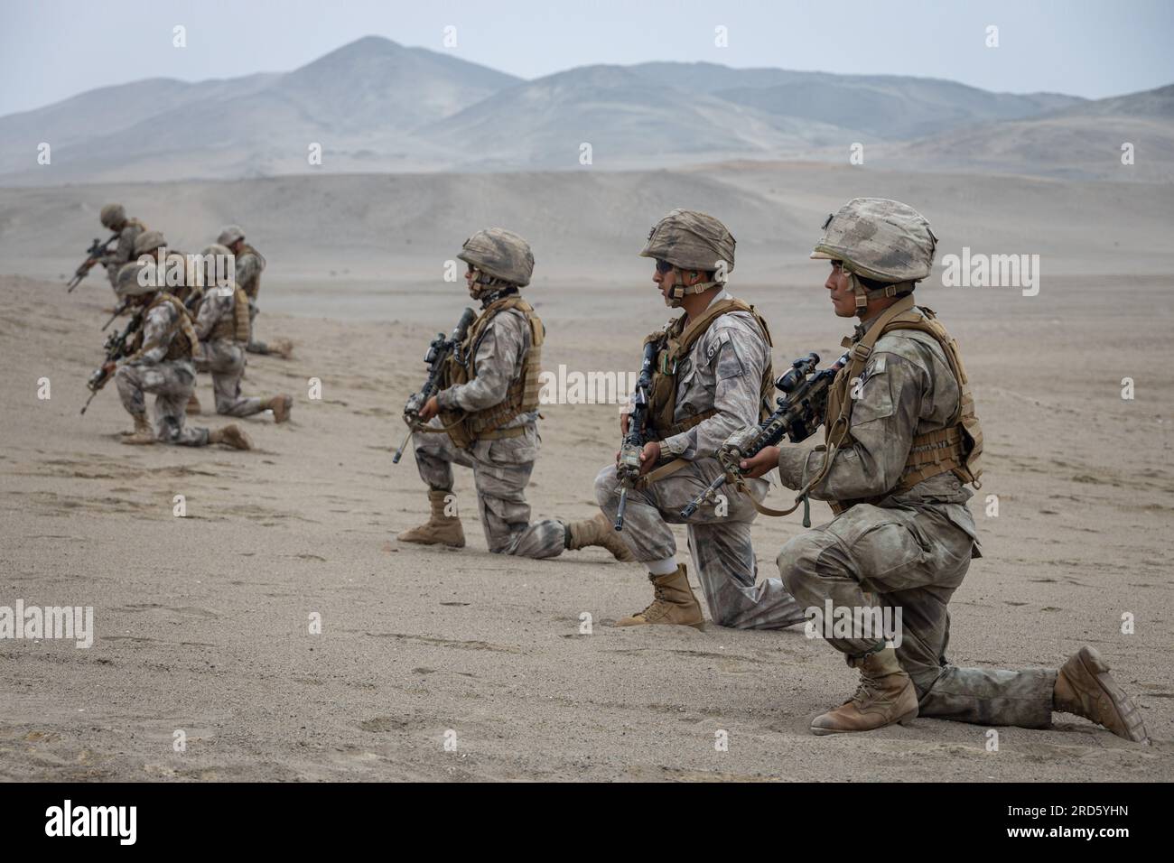 Peruvian marines from the Batallòn de Ingeniería de Infantería de ...