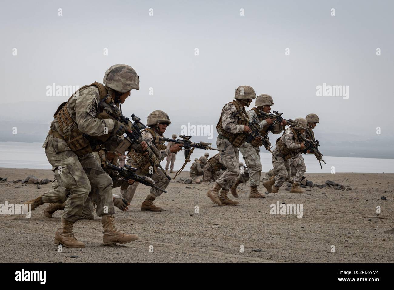 Peruvian marines from the Batallòn de Ingeniería de Infantería de ...