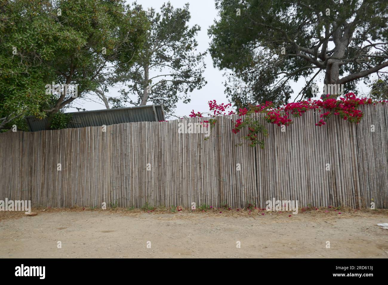 Malibu, California, USA 16th July 2023 Singer/Songwriter Bob Dylan Home ...