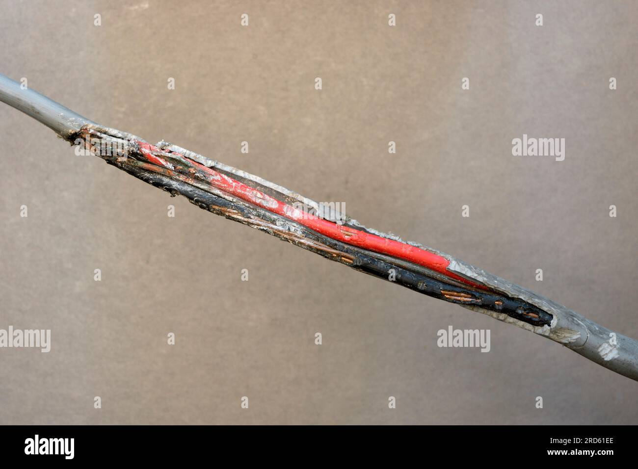 Rodent Damaged Electrical Wiring Stock Photo - Alamy