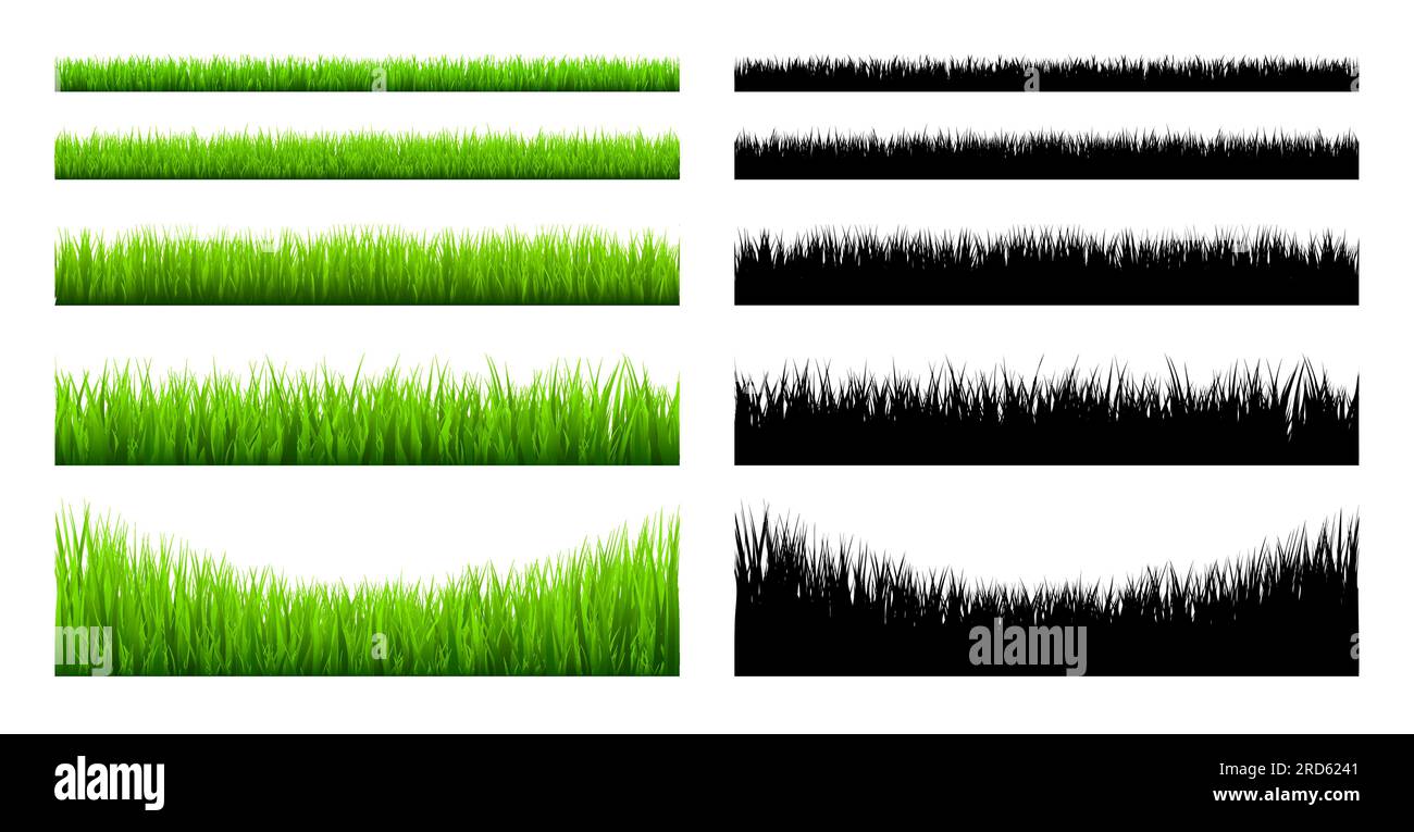 Meadow silhouettes with grass, plants on plain. Green and black ...