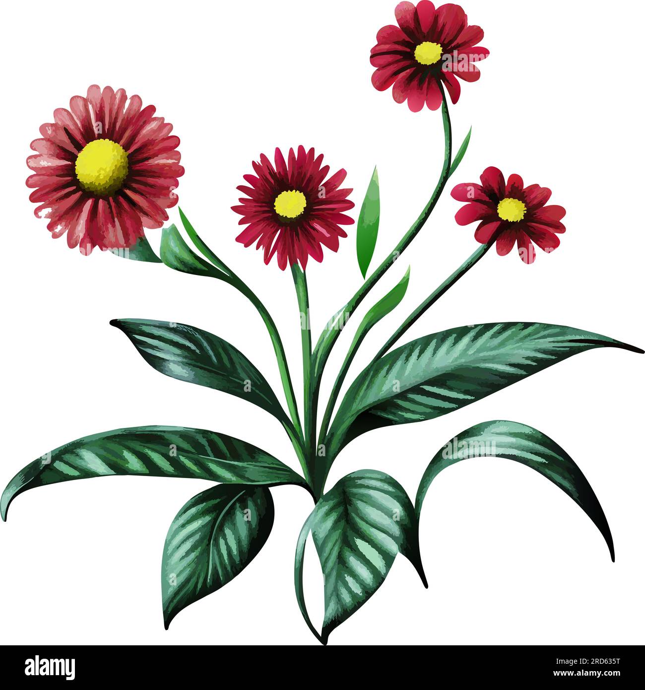 Botanical illustrations A Detailed drawings of plants or paintings with ...