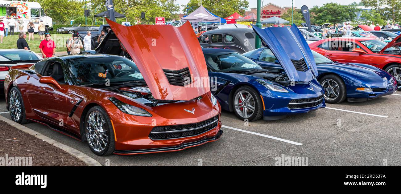 A line of Corvettes is on display at a car show in Homestead ...