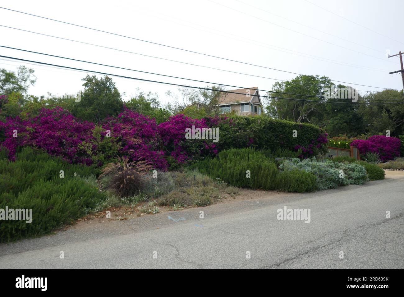 Malibu, California, USA 16th July 2023 Red Hot Chili Peppers Singer ...