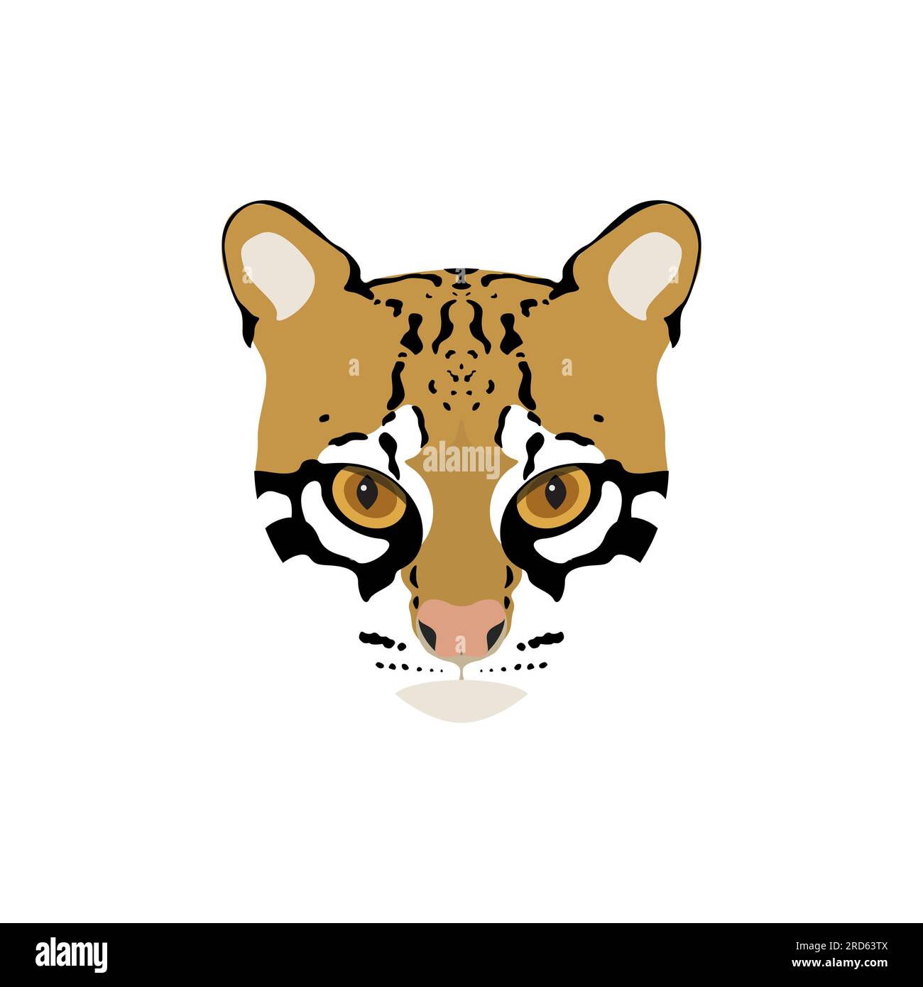 Ocelot vector vectors hi-res stock photography and images - Alamy