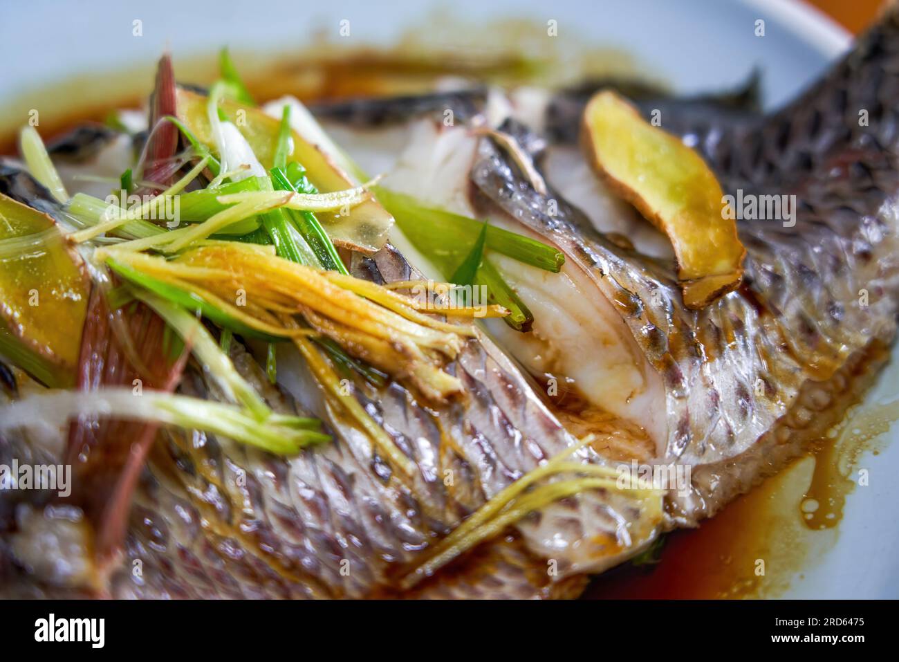 Steam tilapia fish hi-res stock photography and images - Alamy