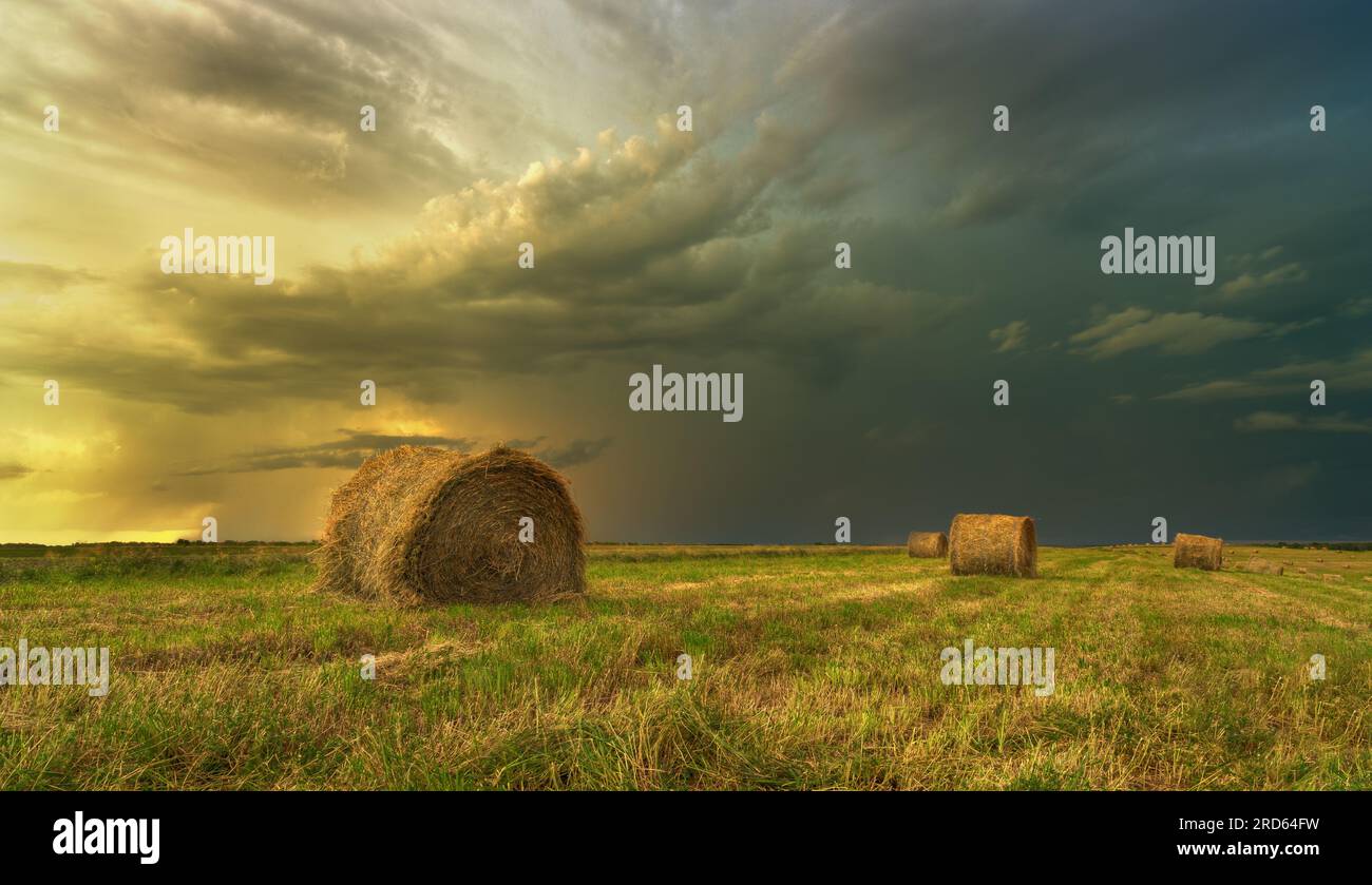 Farmers fields on the outskirts of Winnipeg Manitoba Canada Stock Photo ...