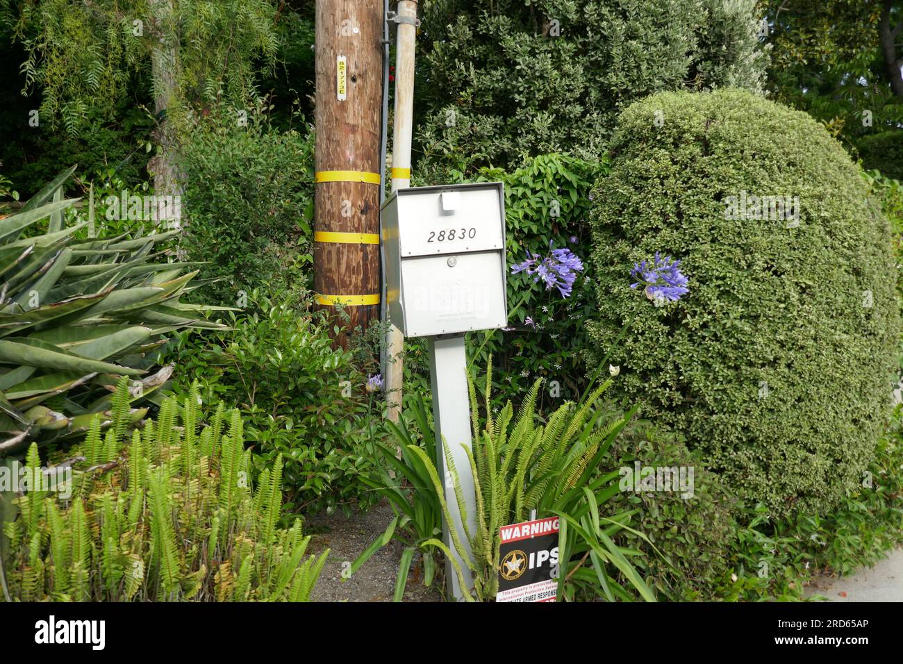 Alvin toffel hi-res stock photography and images - Alamy