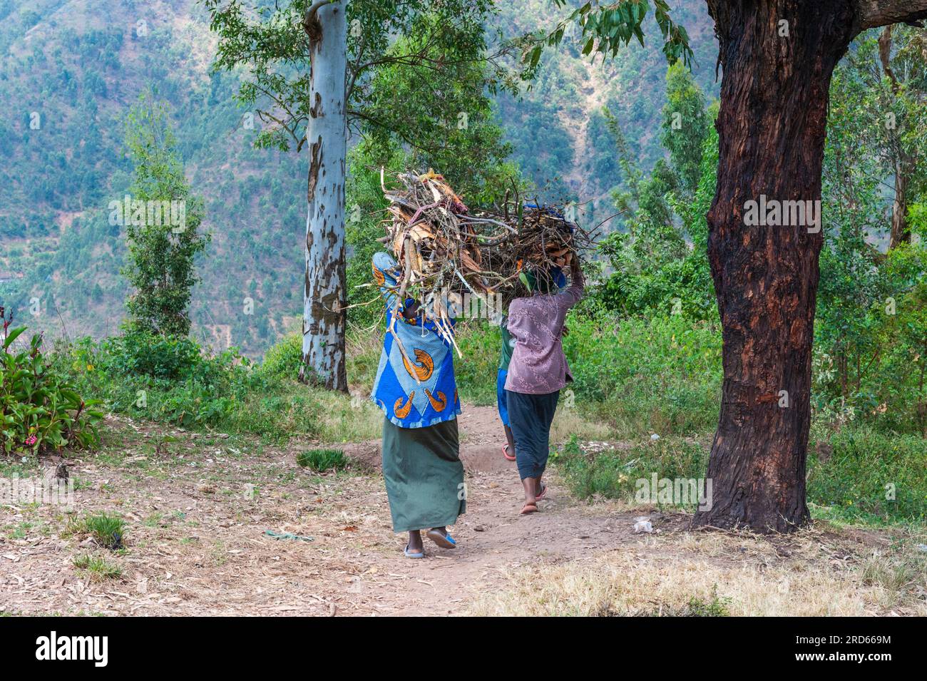View from Drive through Rwanda from Kigali to Sabyinyo Silverback Lodge ...