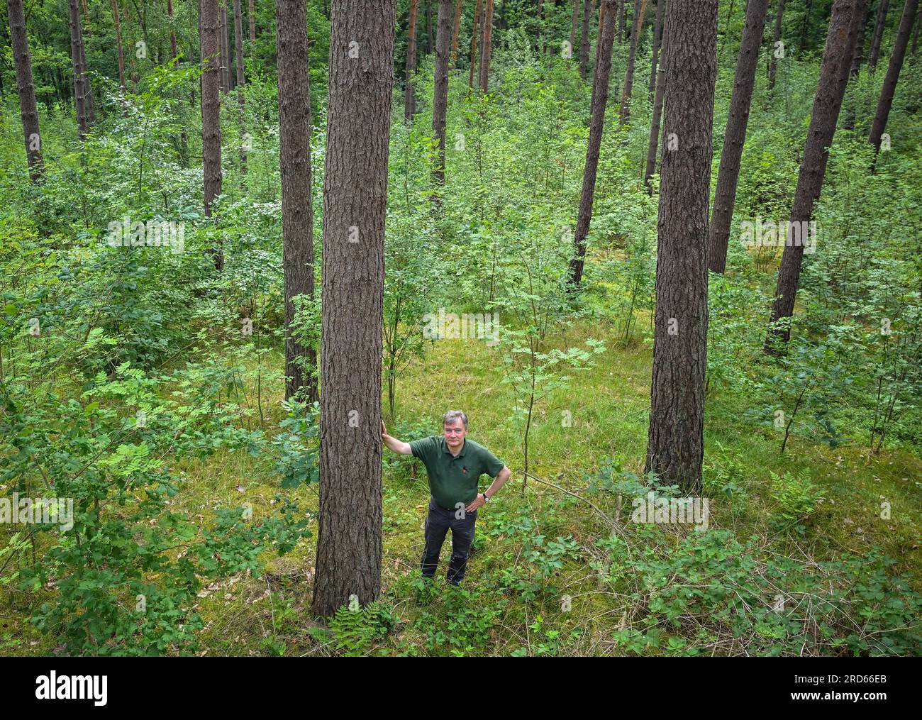 Hirschfelde, Germany. 12th July, 2023. Mathias Graf von Schwerin, forest owner and proprietor of ...