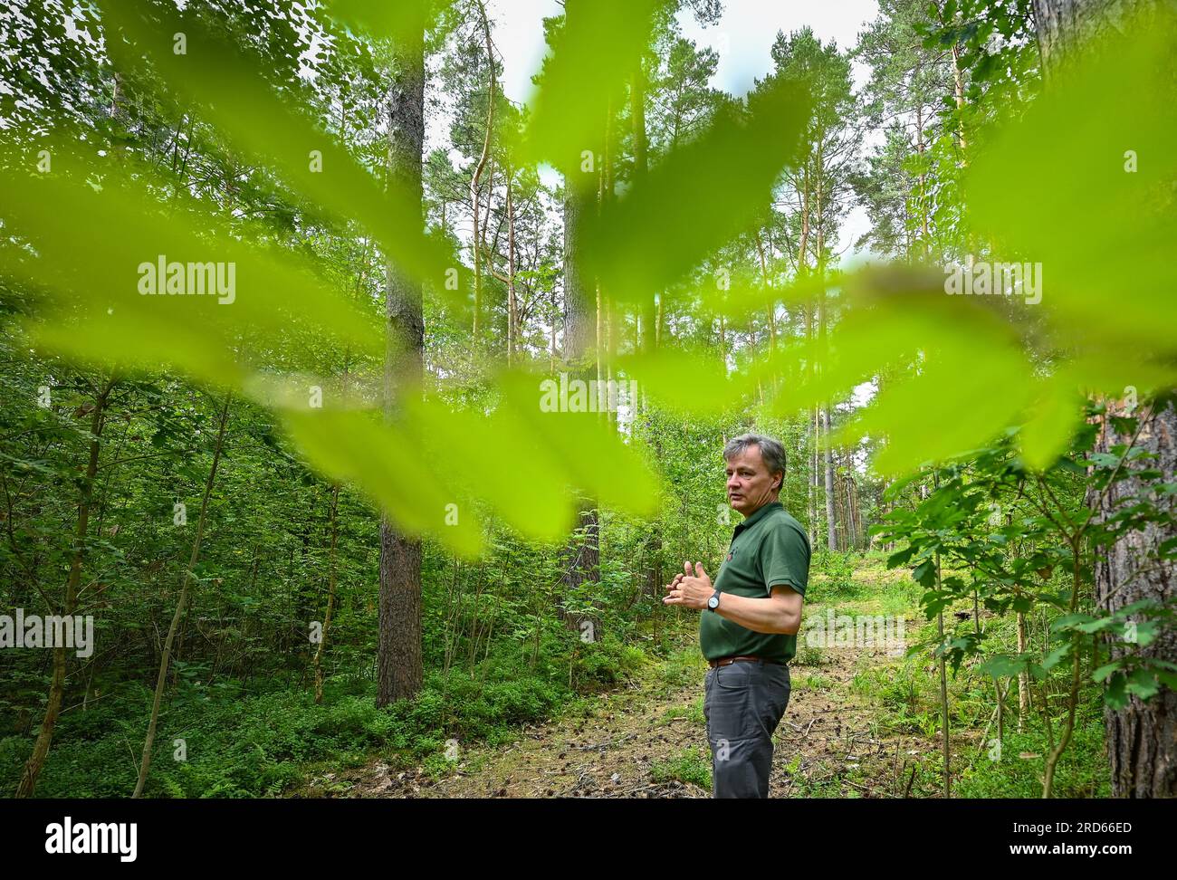 Hirschfelde, Germany. 12th July, 2023. Mathias Graf von Schwerin, forest owner and proprietor of ...