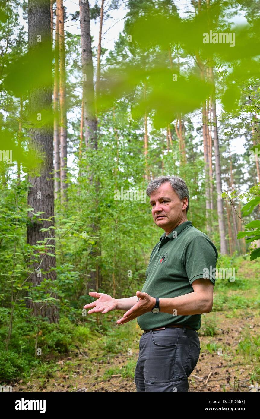 Hirschfelde, Germany. 12th July, 2023. Mathias Graf von Schwerin, forest owner and proprietor of ...
