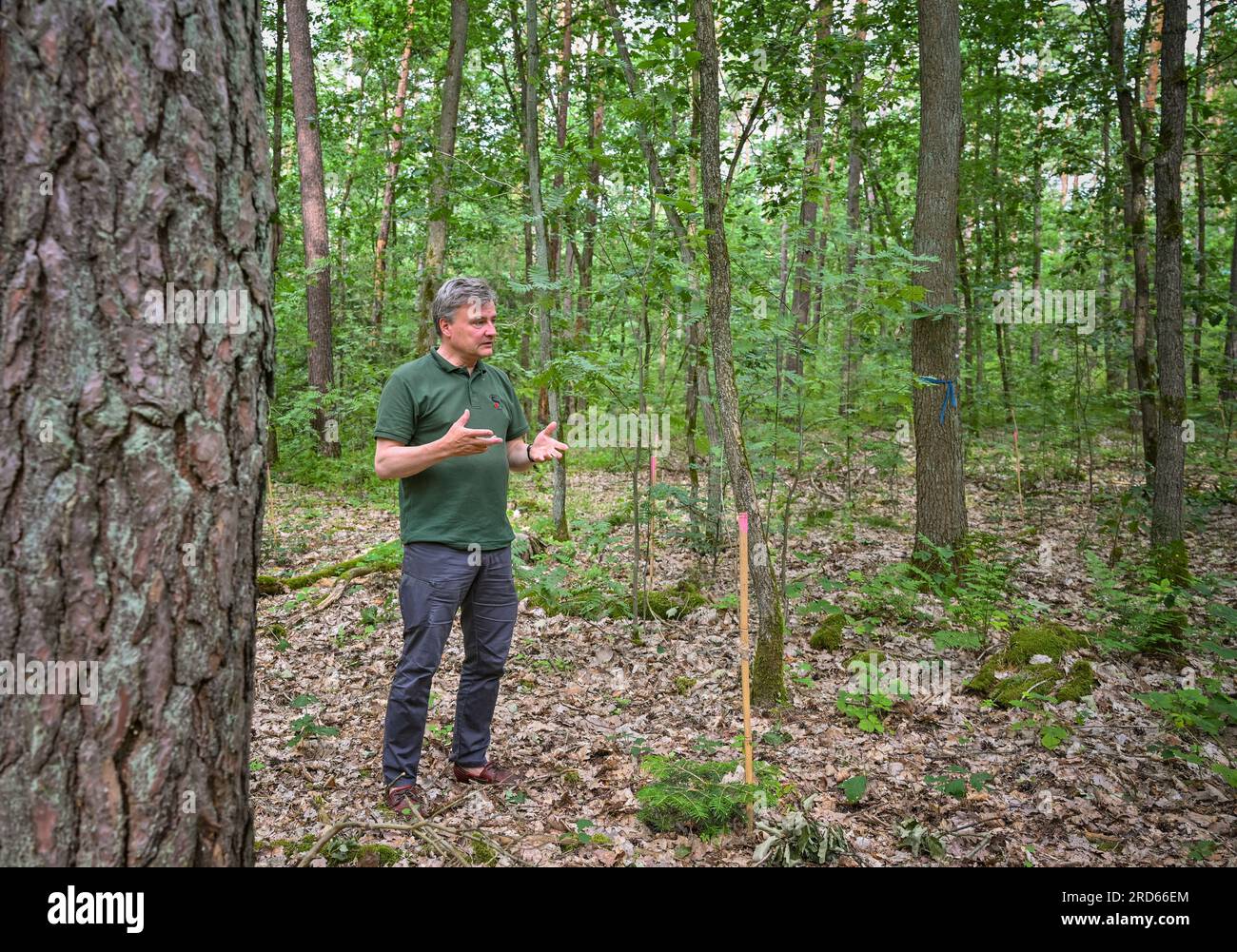 Hirschfelde, Germany. 12th July, 2023. Mathias Graf von Schwerin, forest owner and proprietor of ...