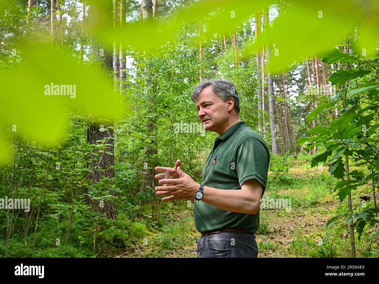 Hirschfelde, Germany. 12th July, 2023. Mathias Graf von Schwerin, forest owner and proprietor of ...