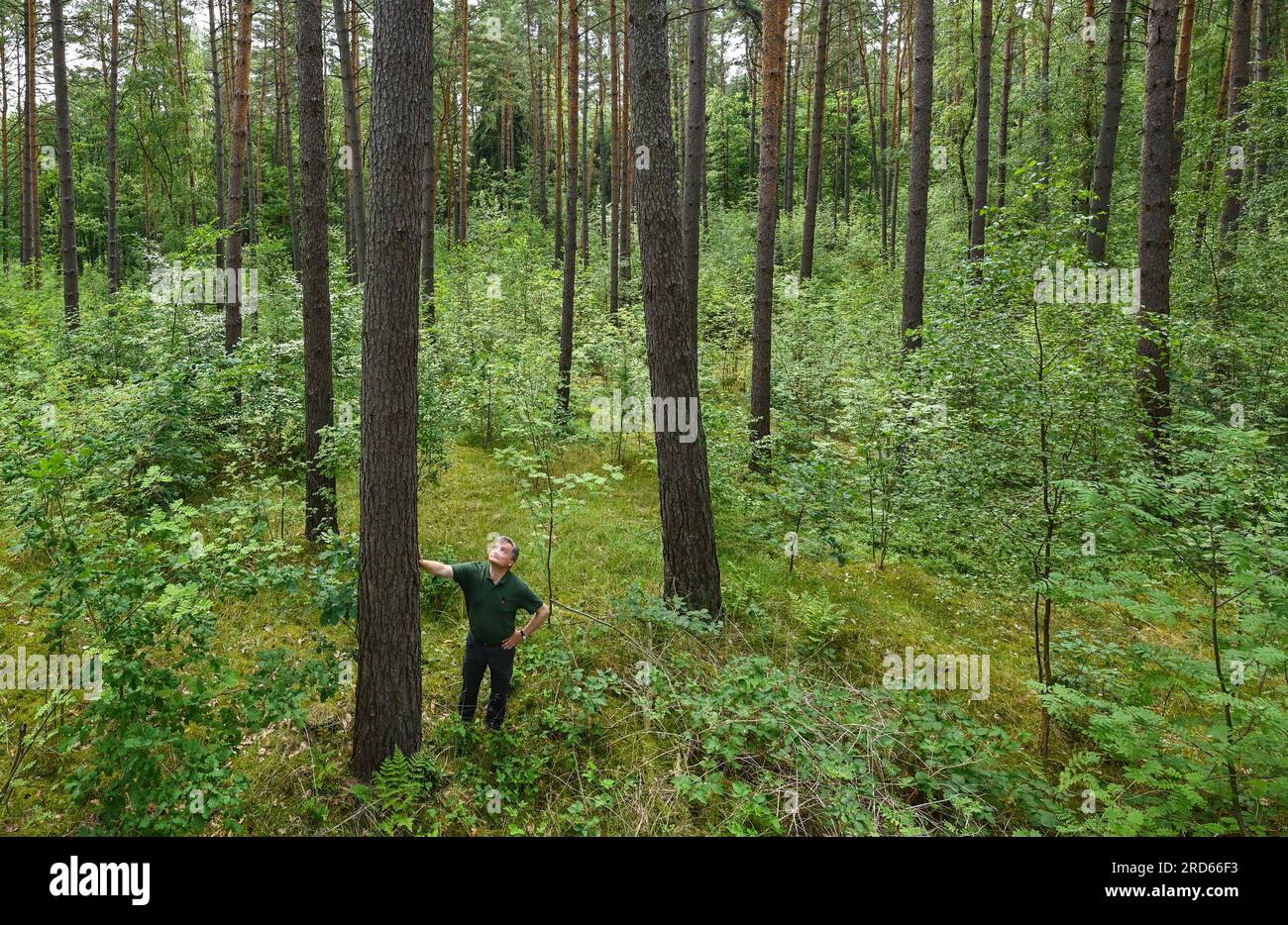 Hirschfelde, Germany. 12th July, 2023. Mathias Graf von Schwerin, forest owner and proprietor of ...