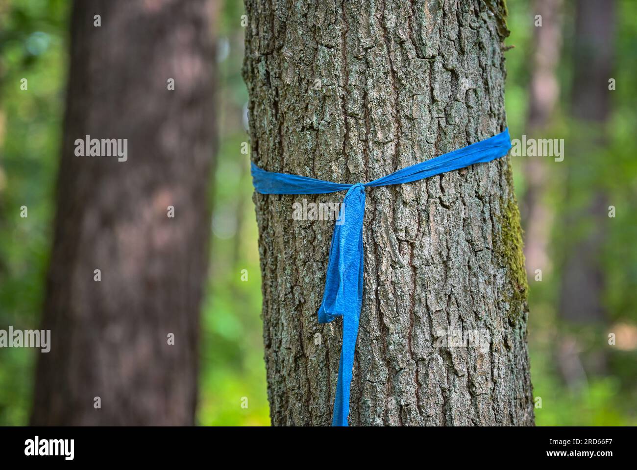 Climate ribbon hi-res stock photography and images - Alamy