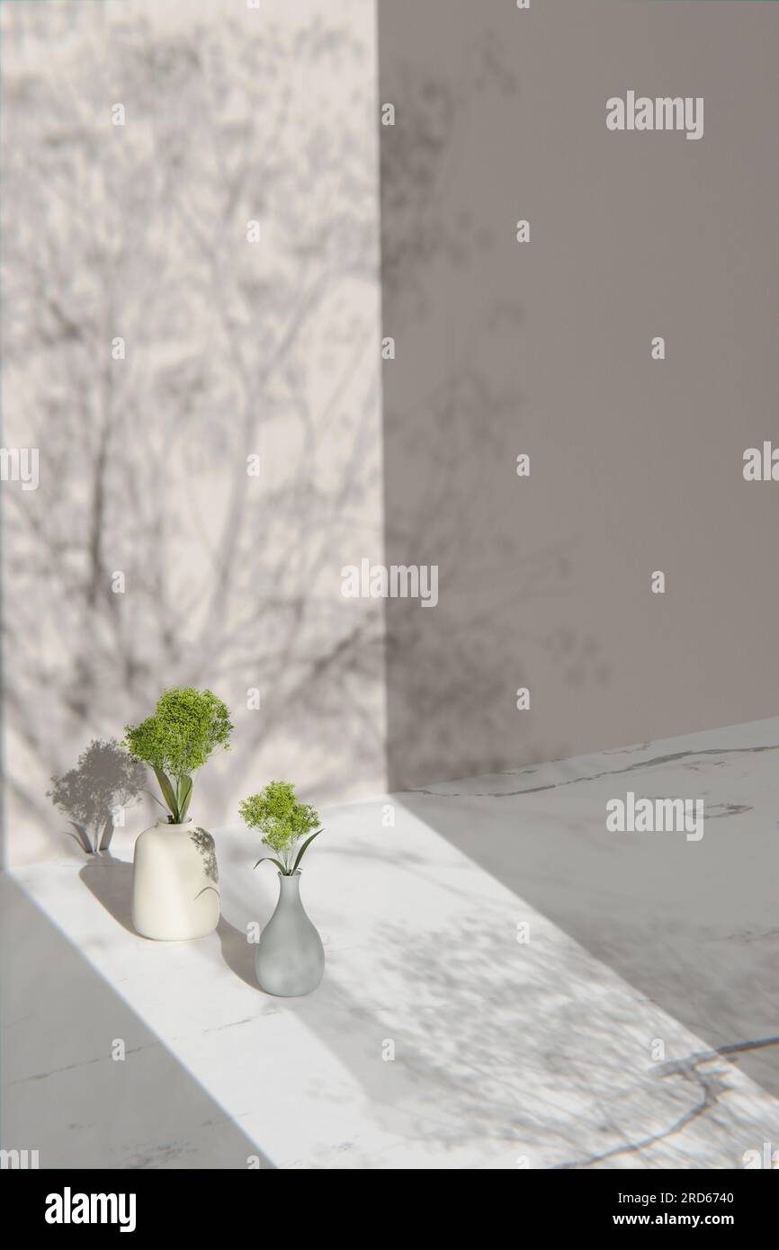 Simple monotone background with vases, tree shadows and natural light ...