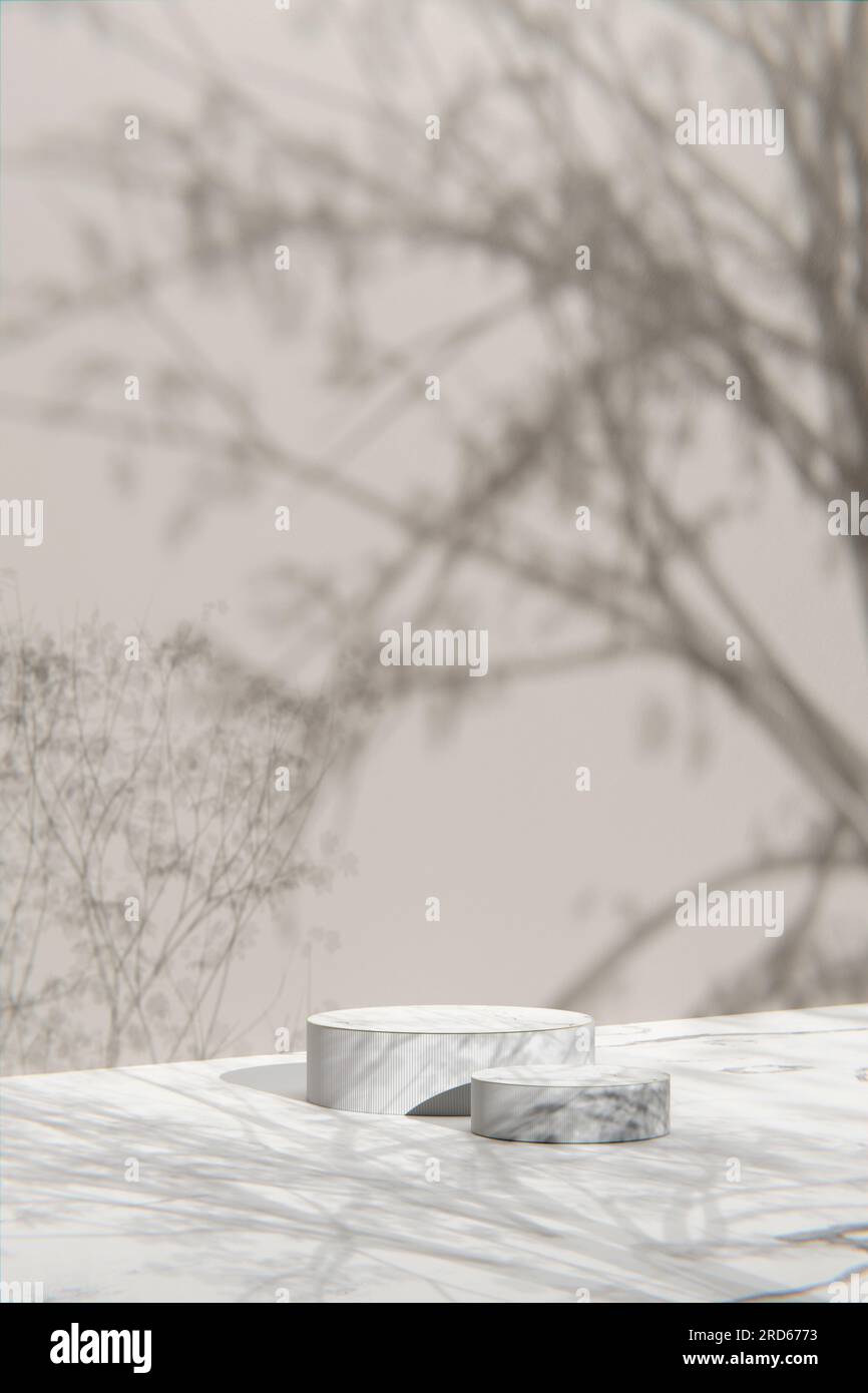 Simple monotone background with vases, tree shadows and natural light ...