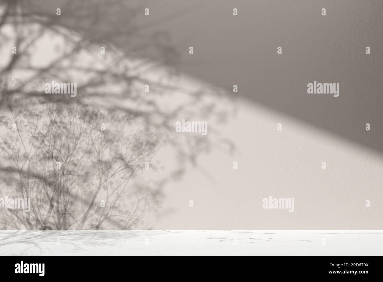 Simple monotone background with vases, tree shadows and natural light ...