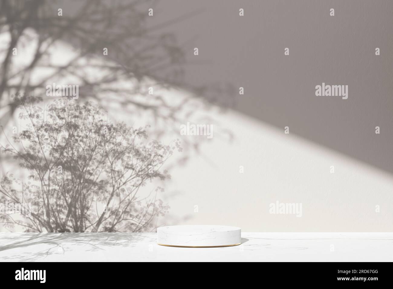 Simple monotone background with vases, tree shadows and natural light ...