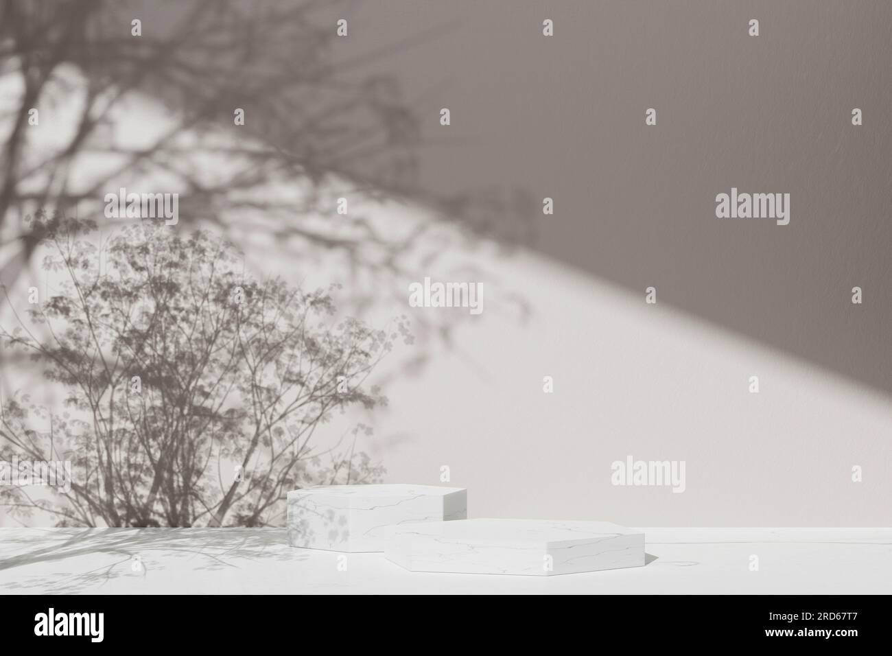 Simple monotone background with vases, tree shadows and natural light ...