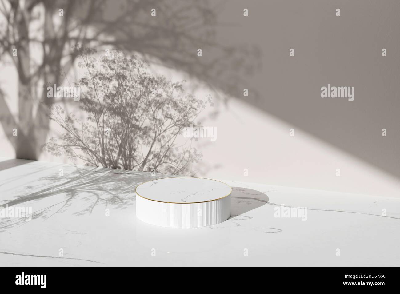Simple monotone background with vases, tree shadows and natural light ...