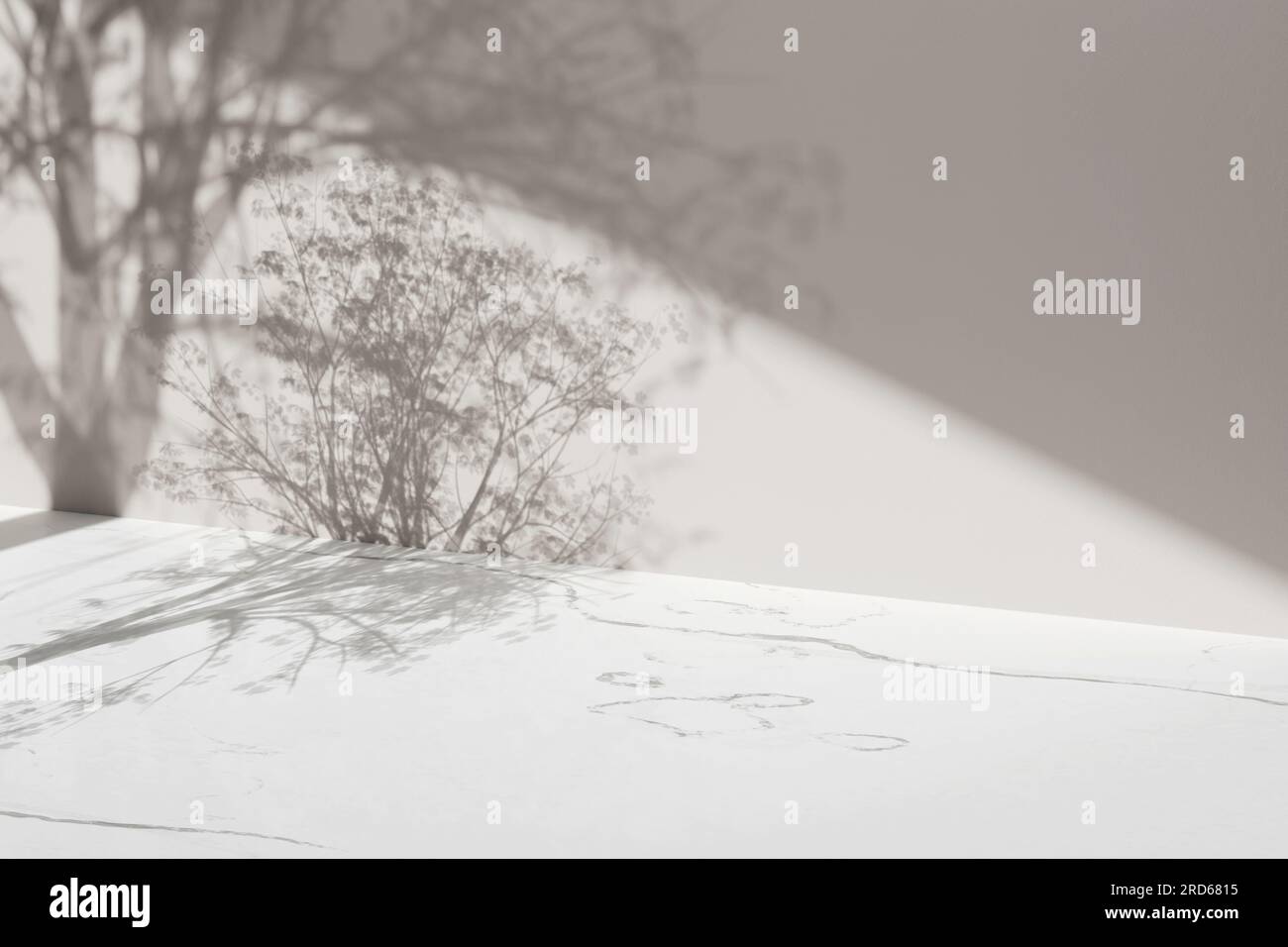 Simple monotone background with vases, tree shadows and natural light ...