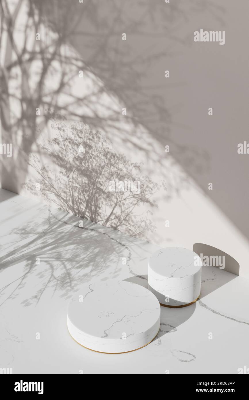 Simple monotone background with vases, tree shadows and natural light ...