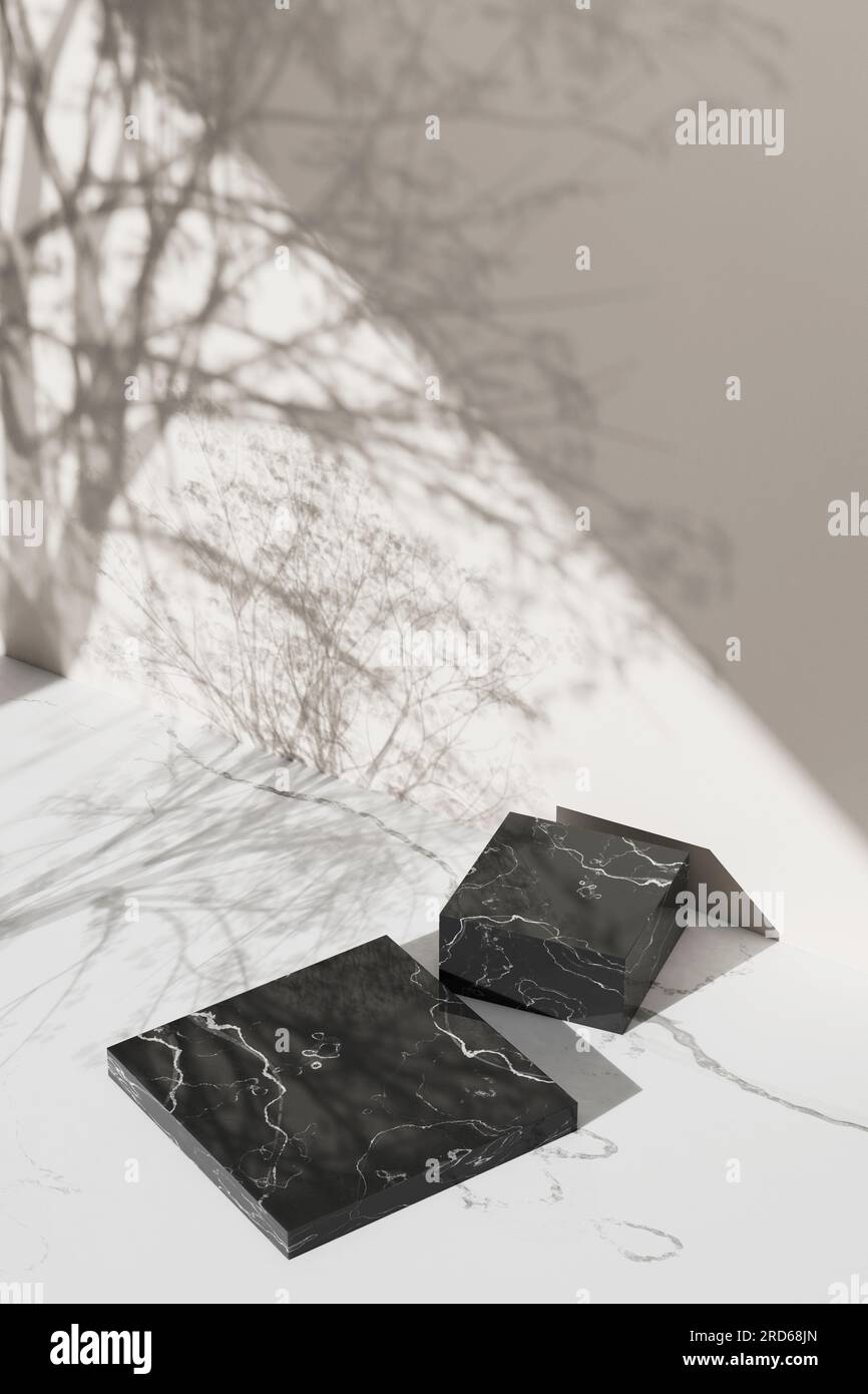 Simple monotone background with vases, tree shadows and natural light ...