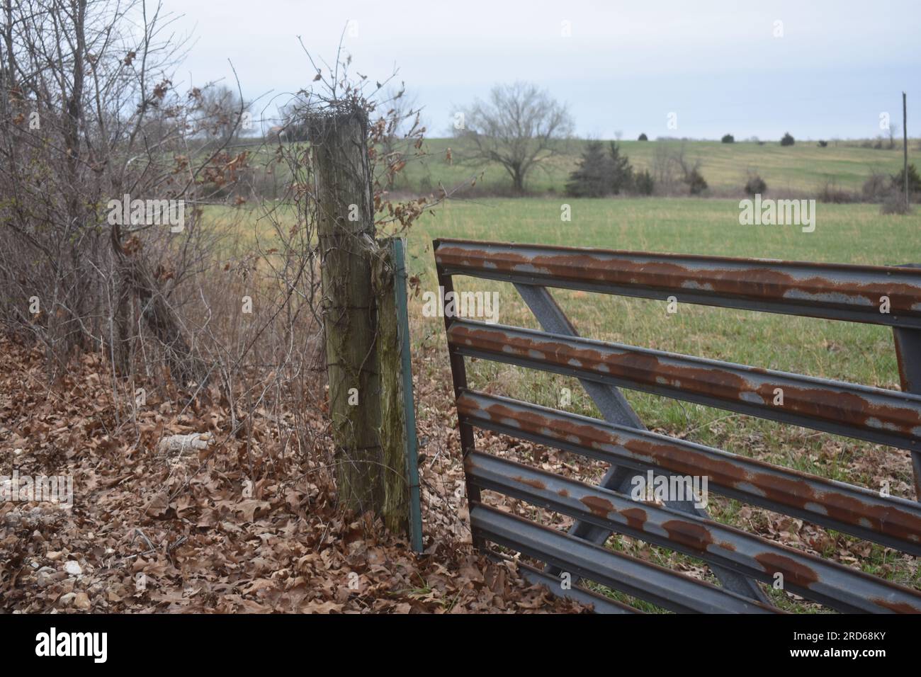 Metal farm gate hi-res stock photography and images - Alamy