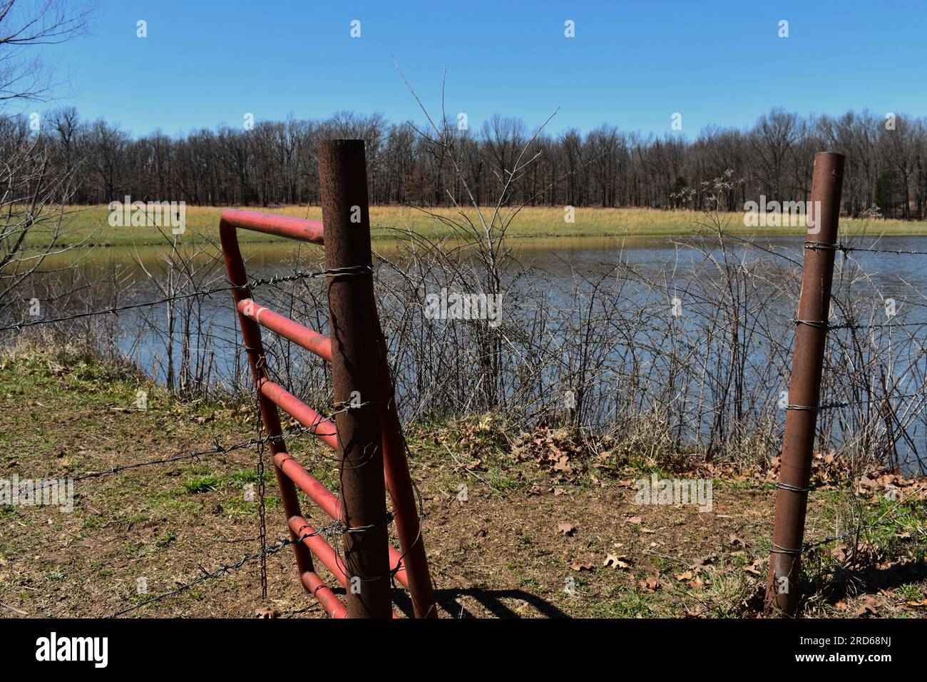 An open metal gate on a path leading from the yard to the pond on a ...